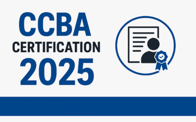 (PMI-PBA)® Free Practice Exam 2024 | PM Training School